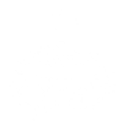 The Ultimate Guide to Essential Oils for Diffusers: Your Go-To Resource ...