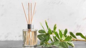How Reed Diffusers Work: The Science Behind the Fragrance - Diffuser Lab